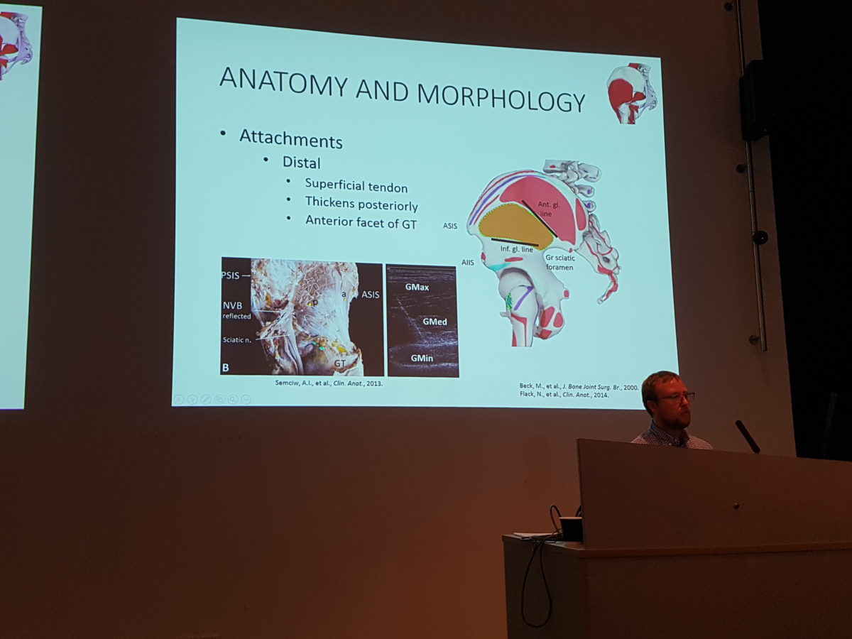 Hip and Groin Pain Symposium synopsis - Gluteal muscle rehabilitation ...