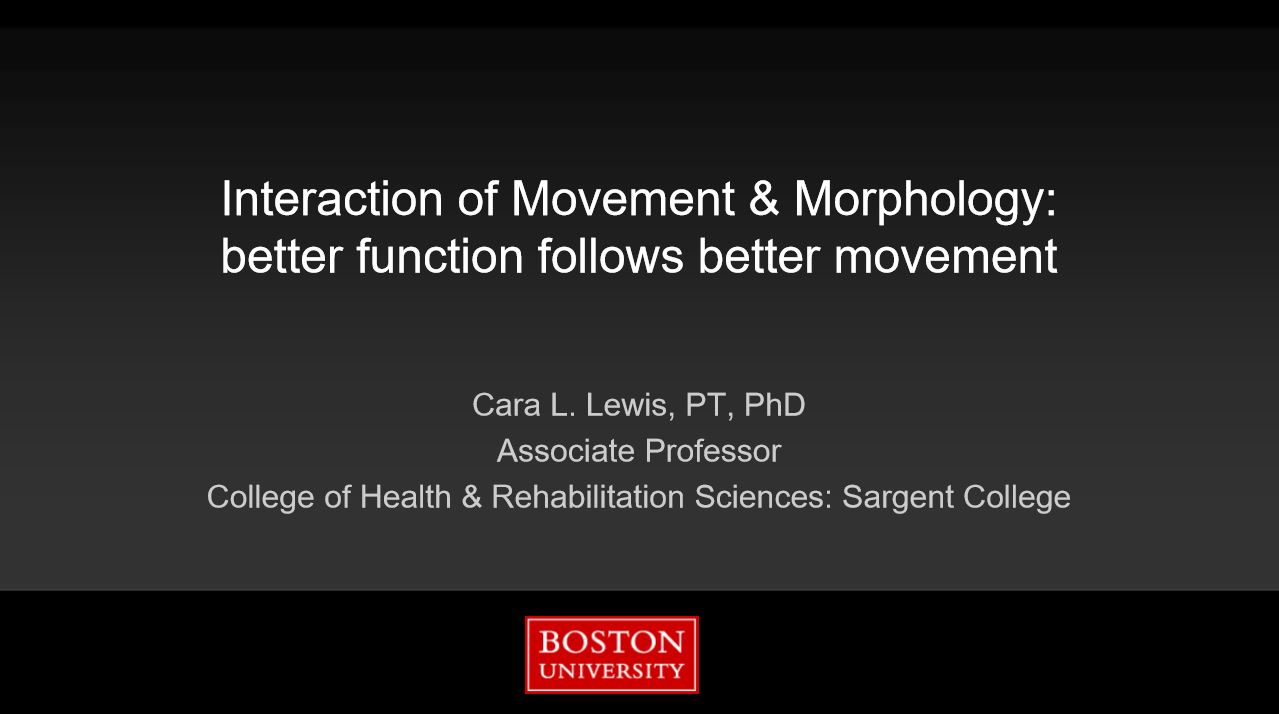 Hip pain in young active adults: Where are we now? - La Trobe Sport and ...